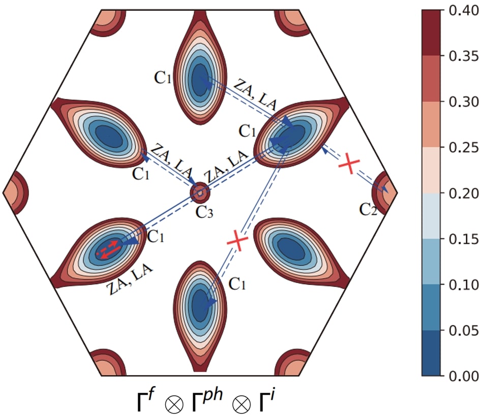 Strong electron--phonon coupling influences carrier transport and ...